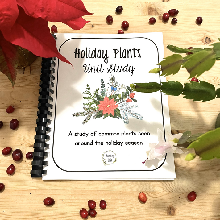 Holiday Plants Unit Study – Educating in the Wild