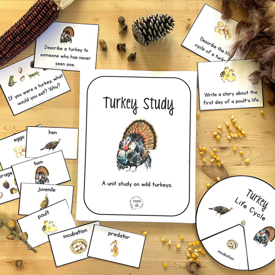 Turkey Unit Study – Educating in the Wild