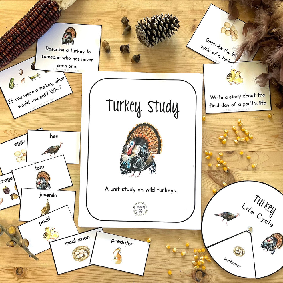 Turkey Unit Study – Educating in the Wild