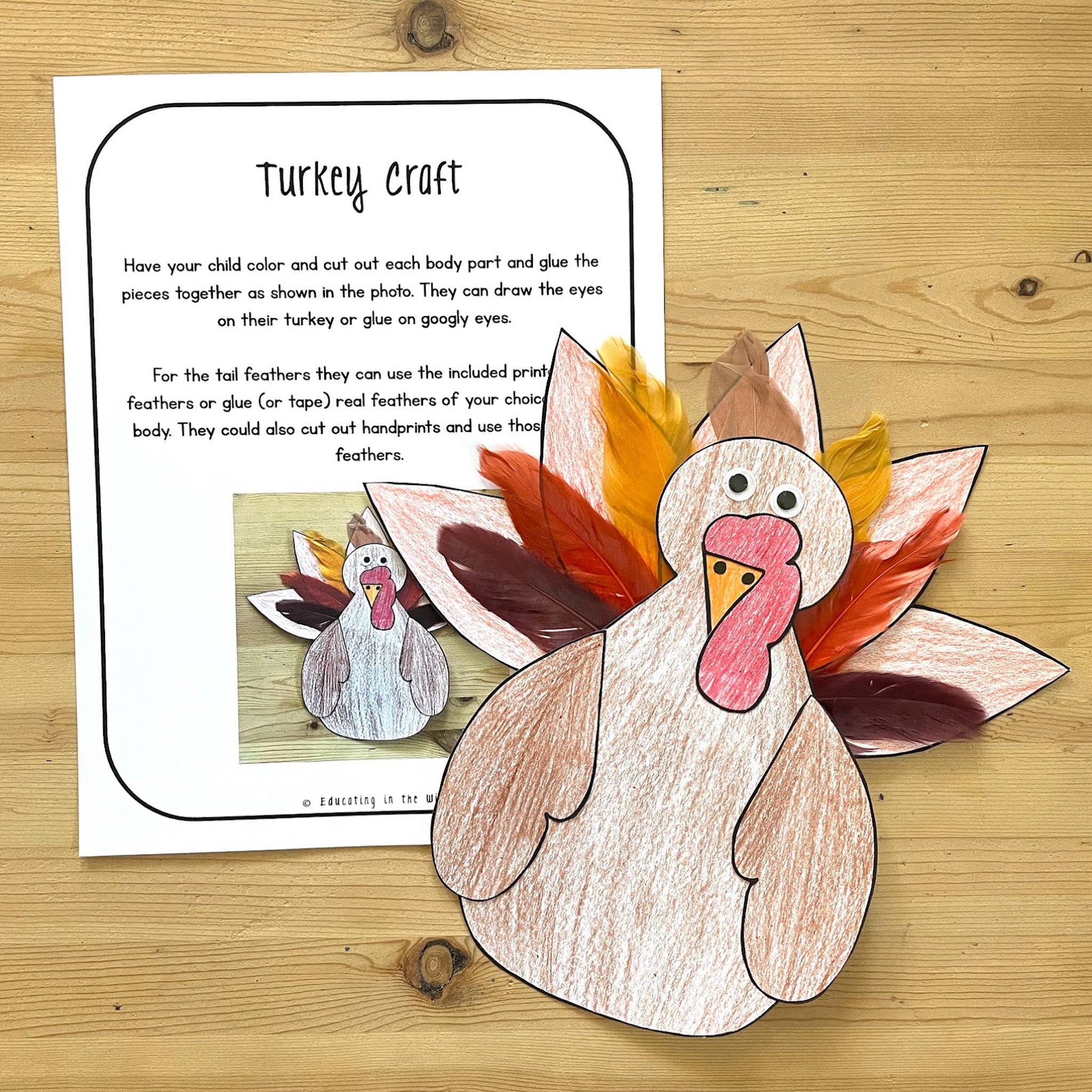 Turkey Unit Study – Educating in the Wild