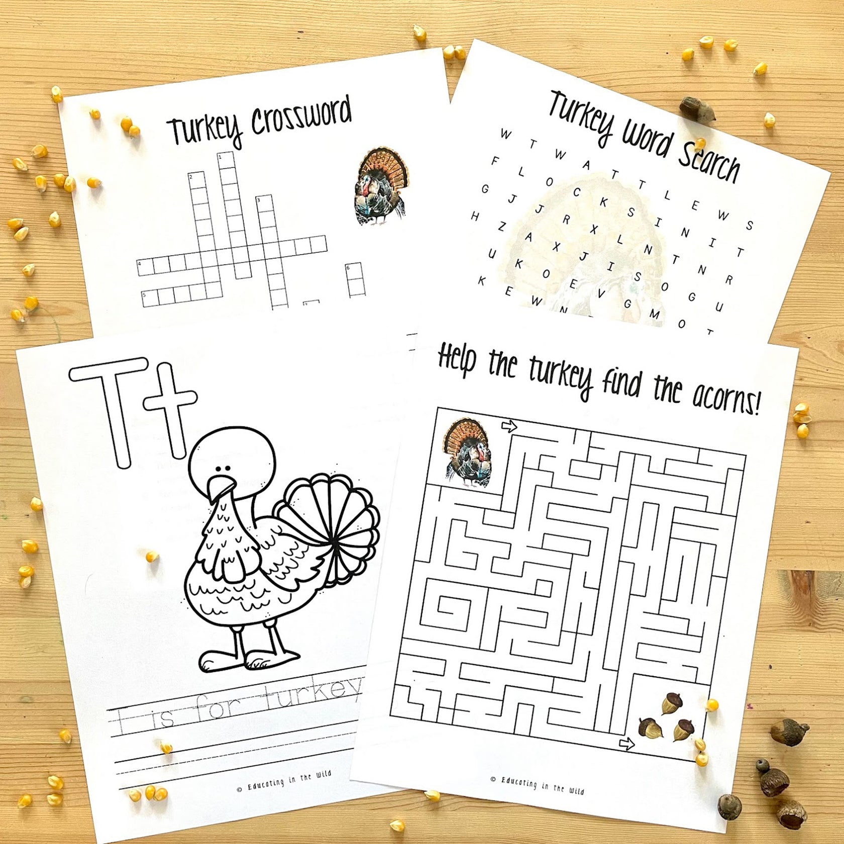 Turkey Unit Study – Educating in the Wild