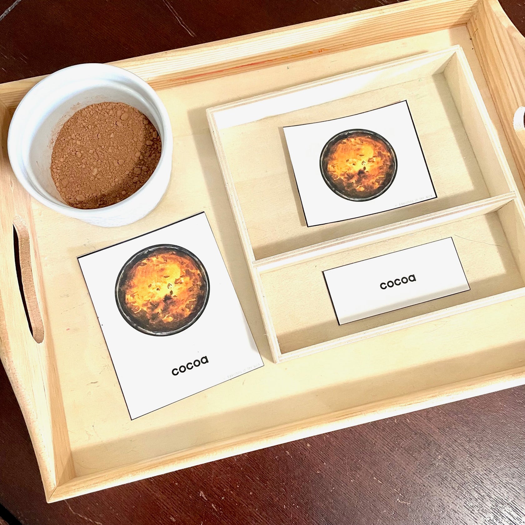 Chocolate Unit Study – Educating in the Wild