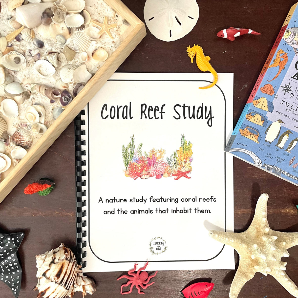 Coral Reef Unit Study – Educating in the Wild