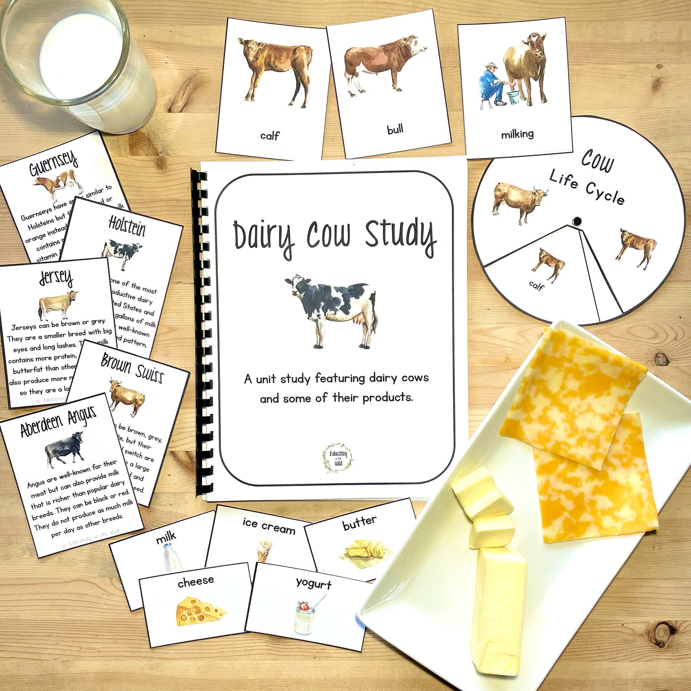 Dairy Cow Unit Study – Educating in the Wild
