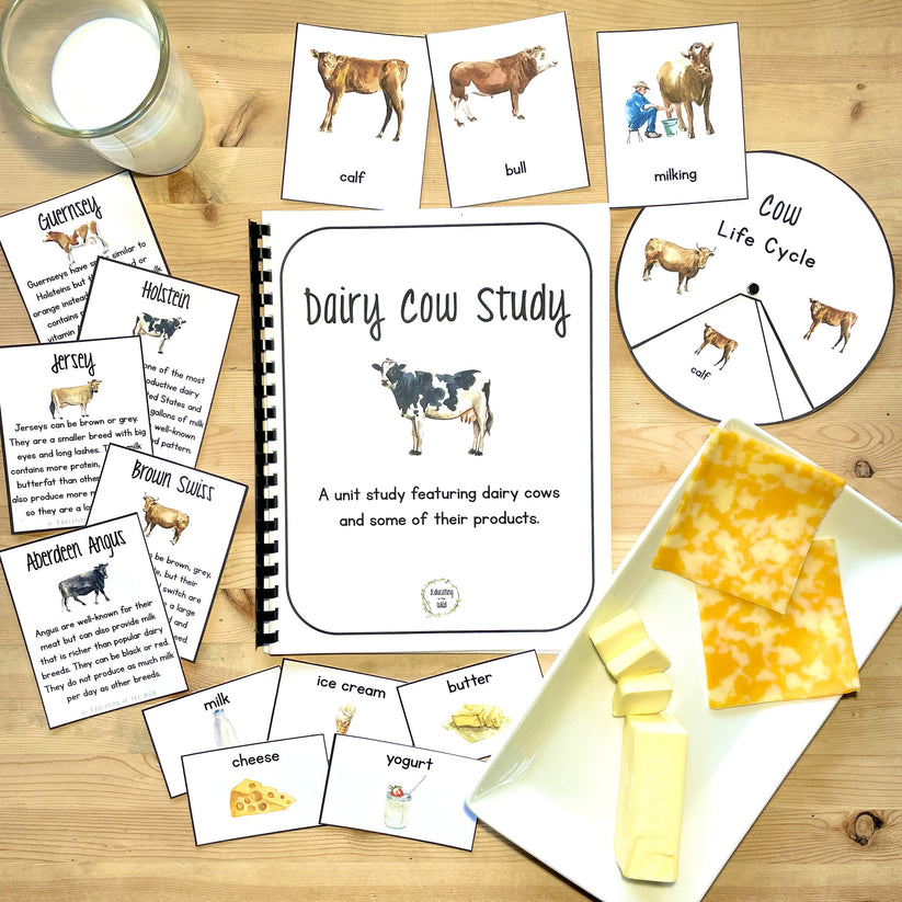 Dairy Cow Unit Study – Educating in the Wild