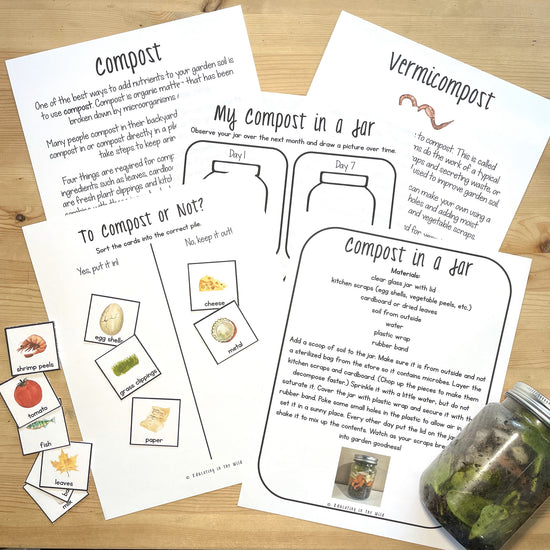 Garden Unit Study – Educating in the Wild