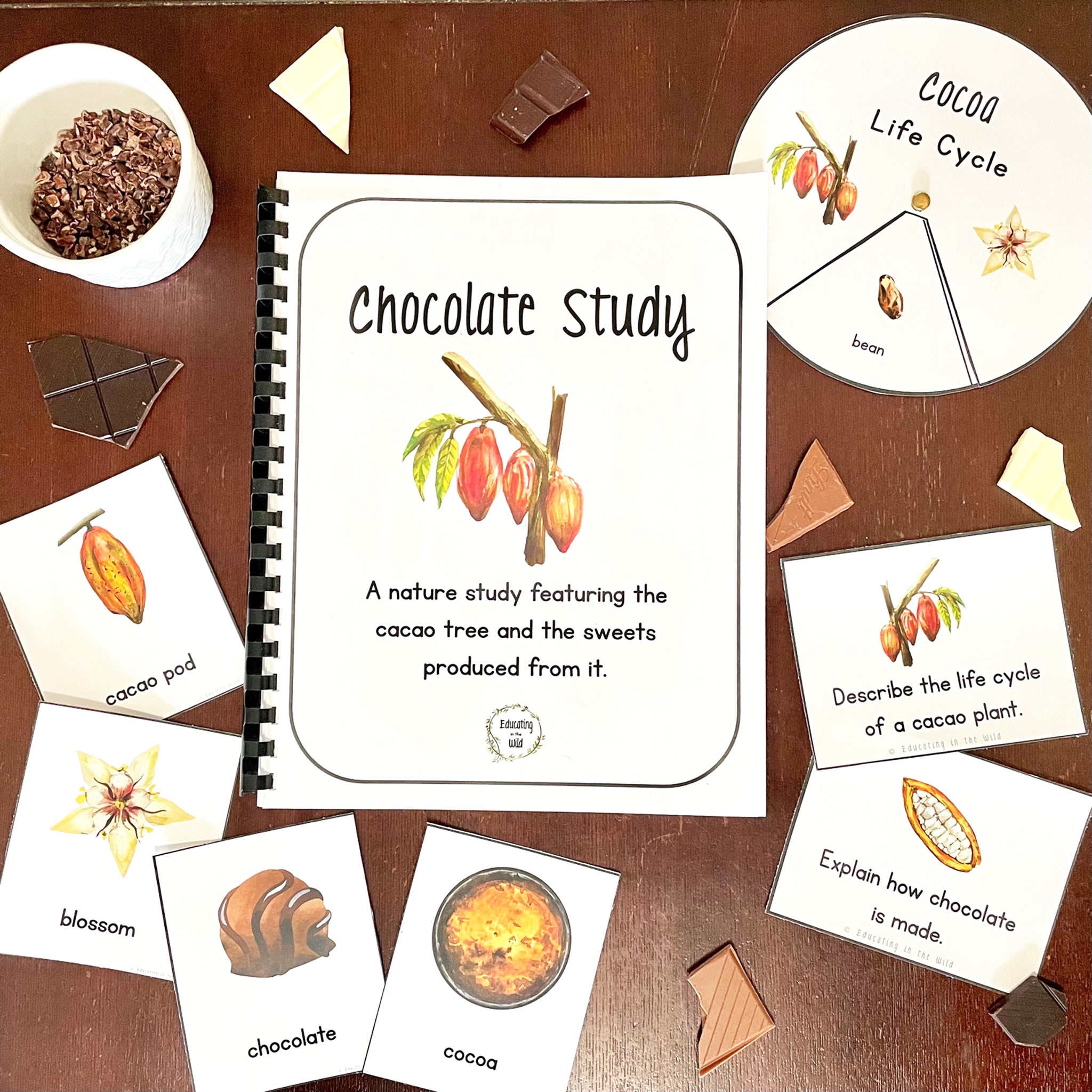 Chocolate Unit Study – Educating in the Wild