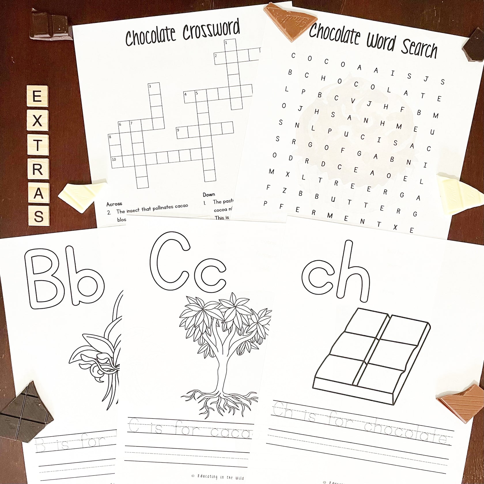 Chocolate Unit Study – Educating in the Wild