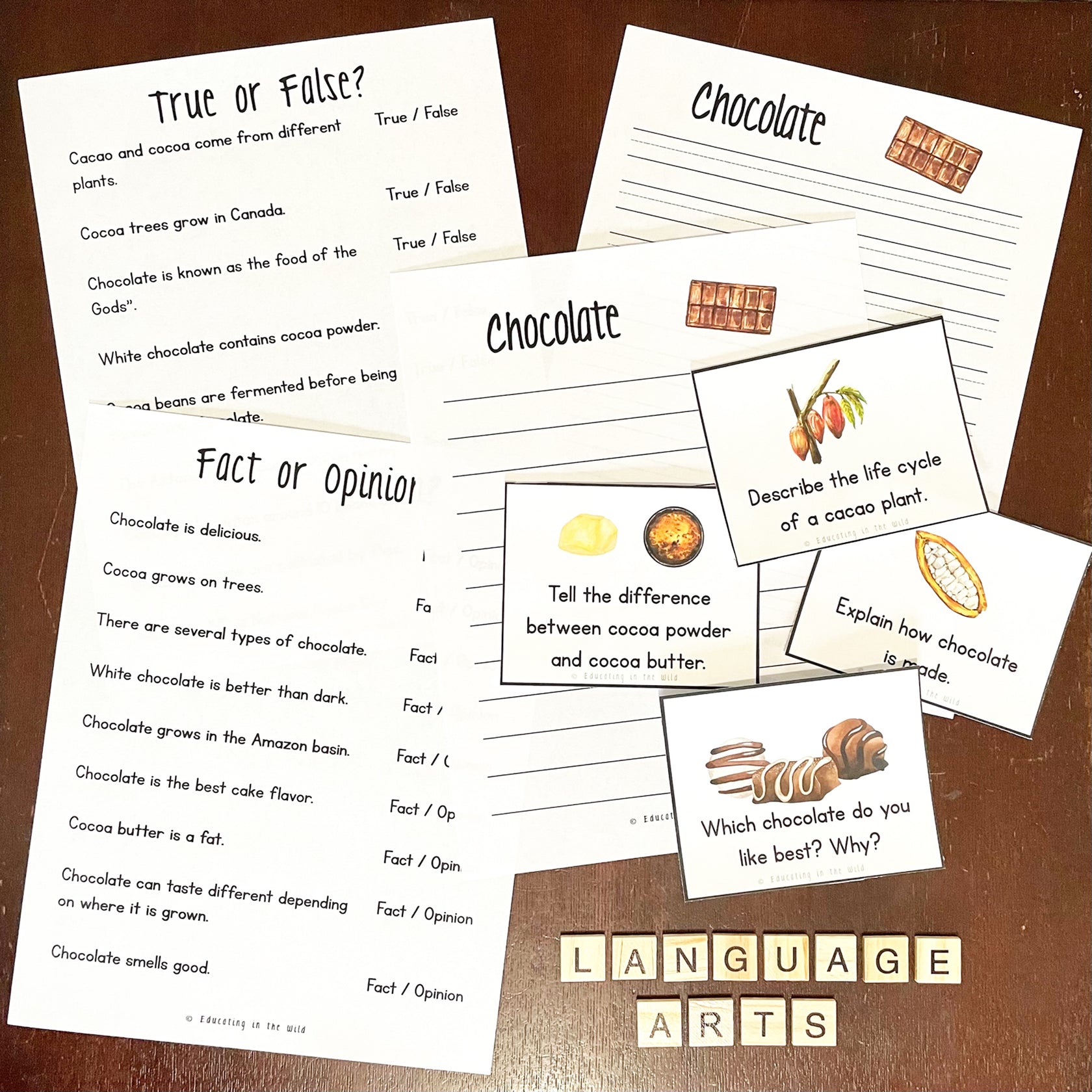 Chocolate Unit Study – Educating in the Wild