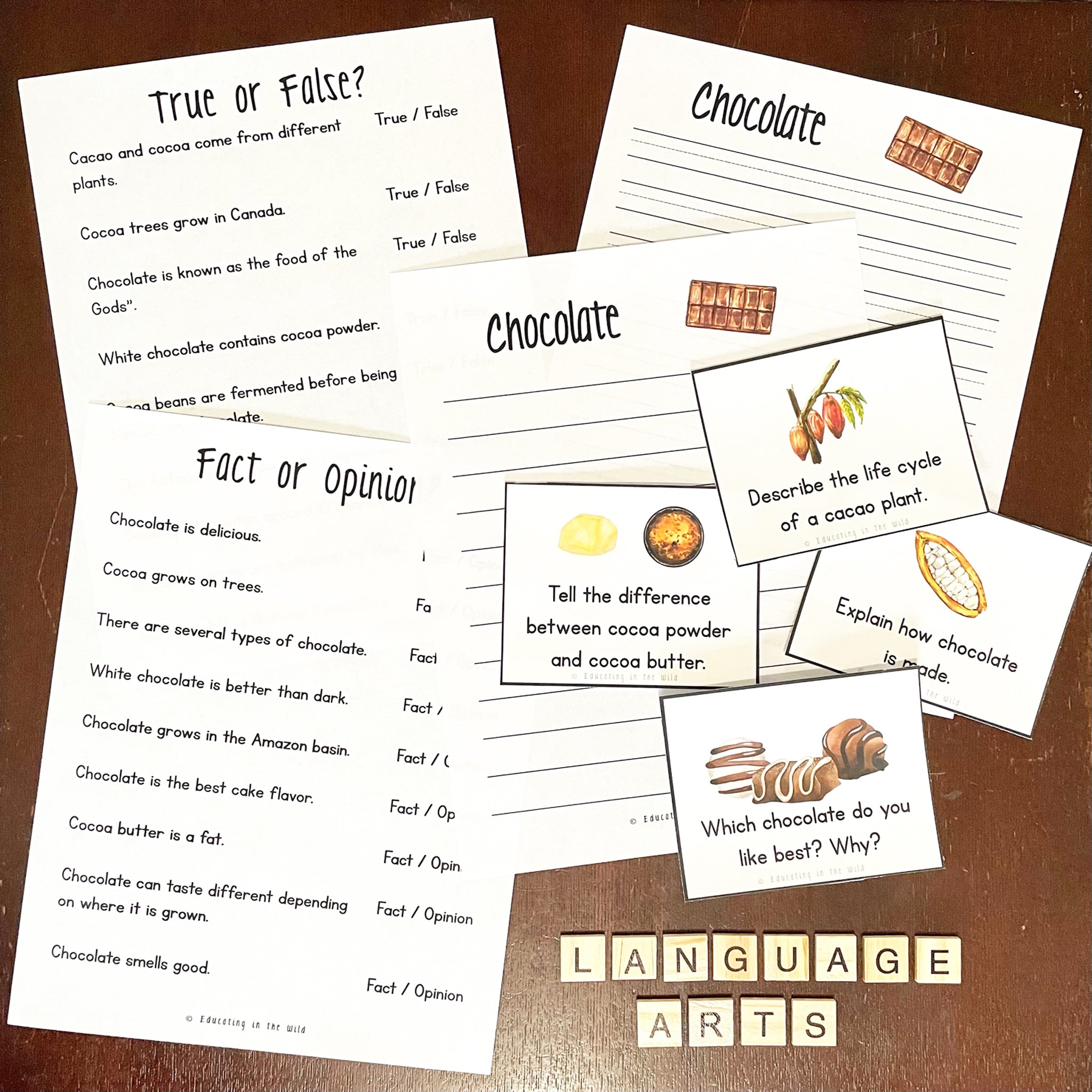 Chocolate Unit Study – Educating in the Wild