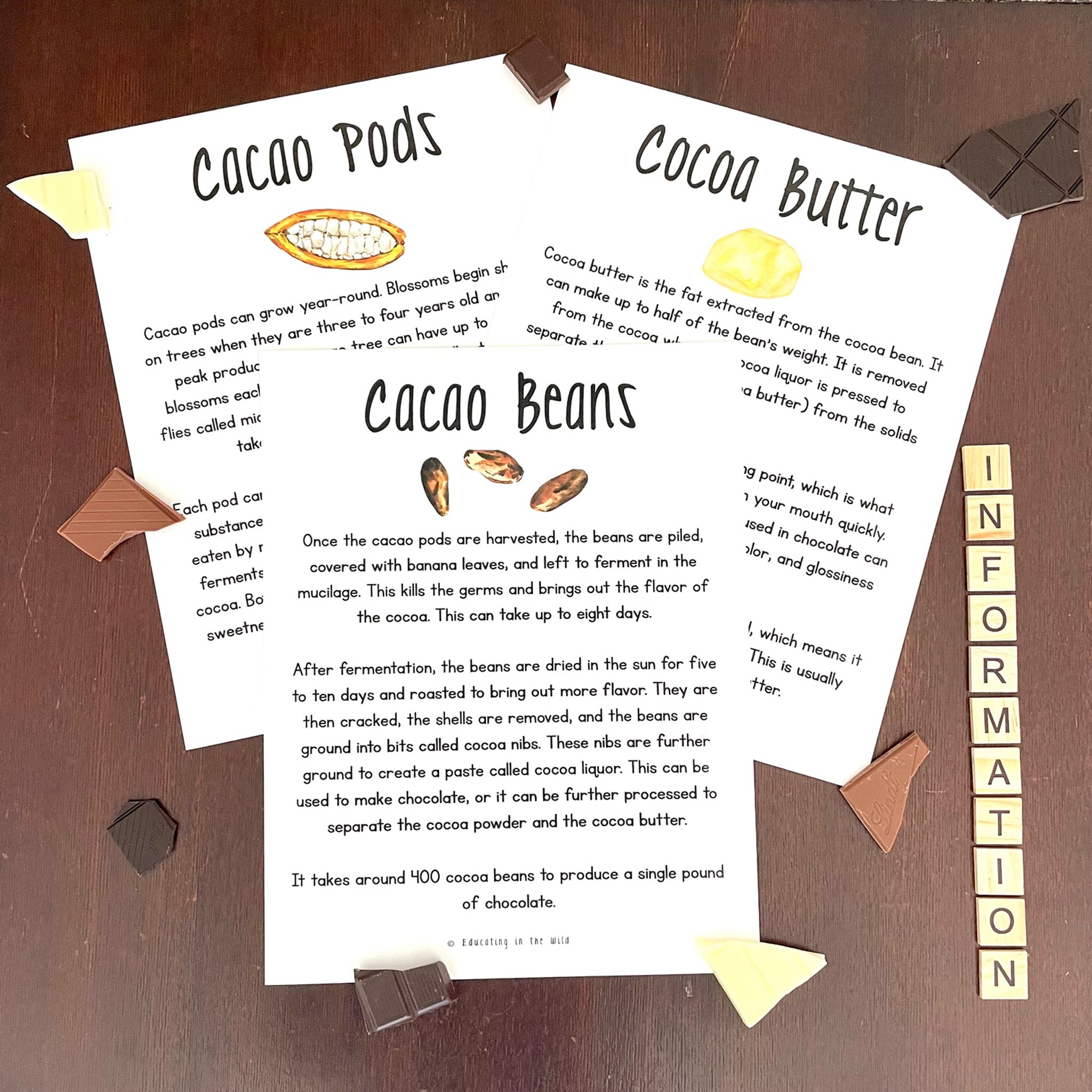 Chocolate Unit Study – Educating in the Wild