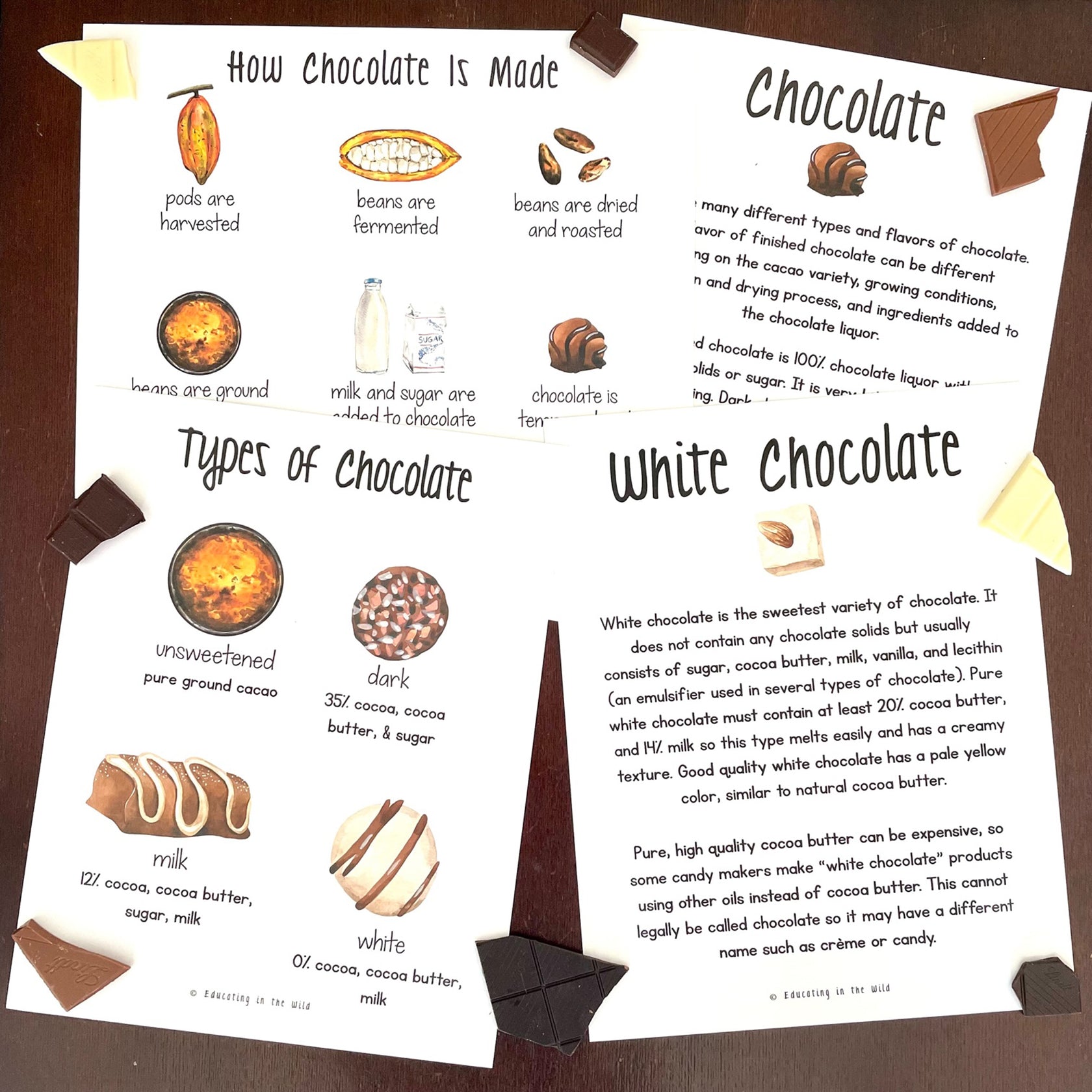 Chocolate Unit Study – Educating in the Wild