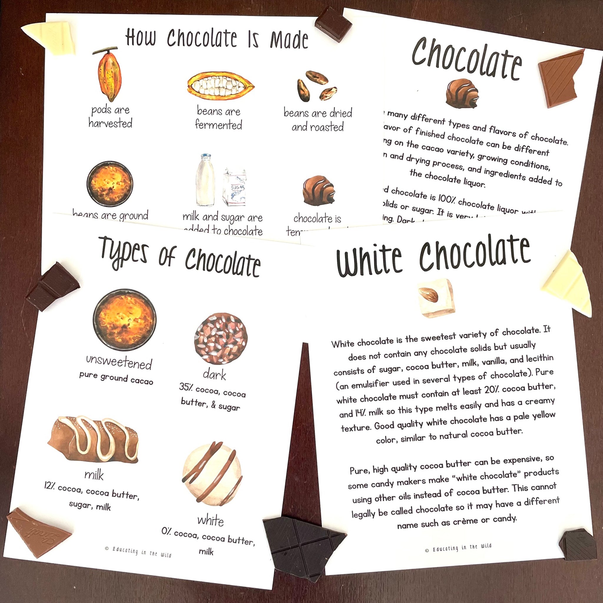 Chocolate Unit Study – Educating in the Wild