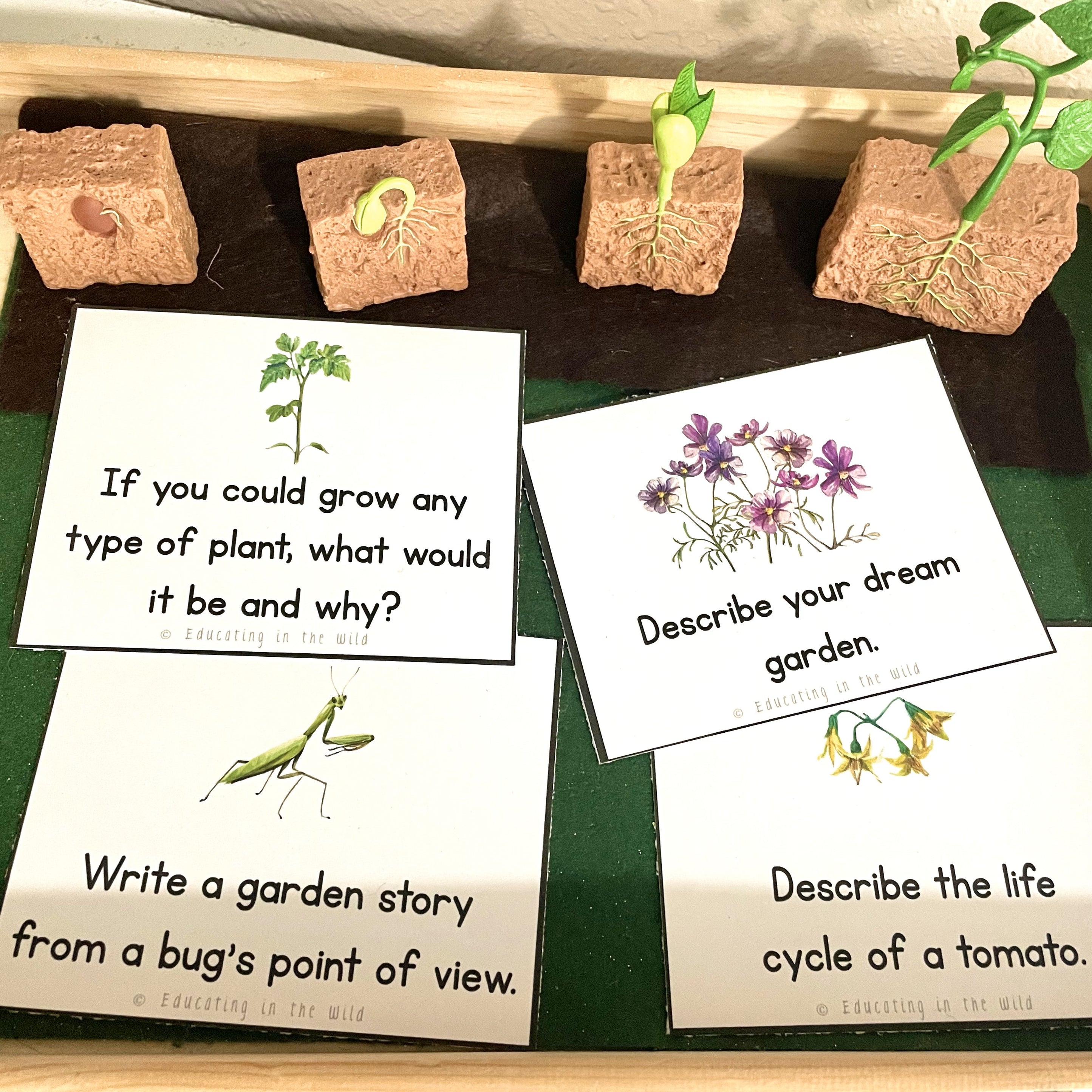 Garden Unit Study – Educating in the Wild